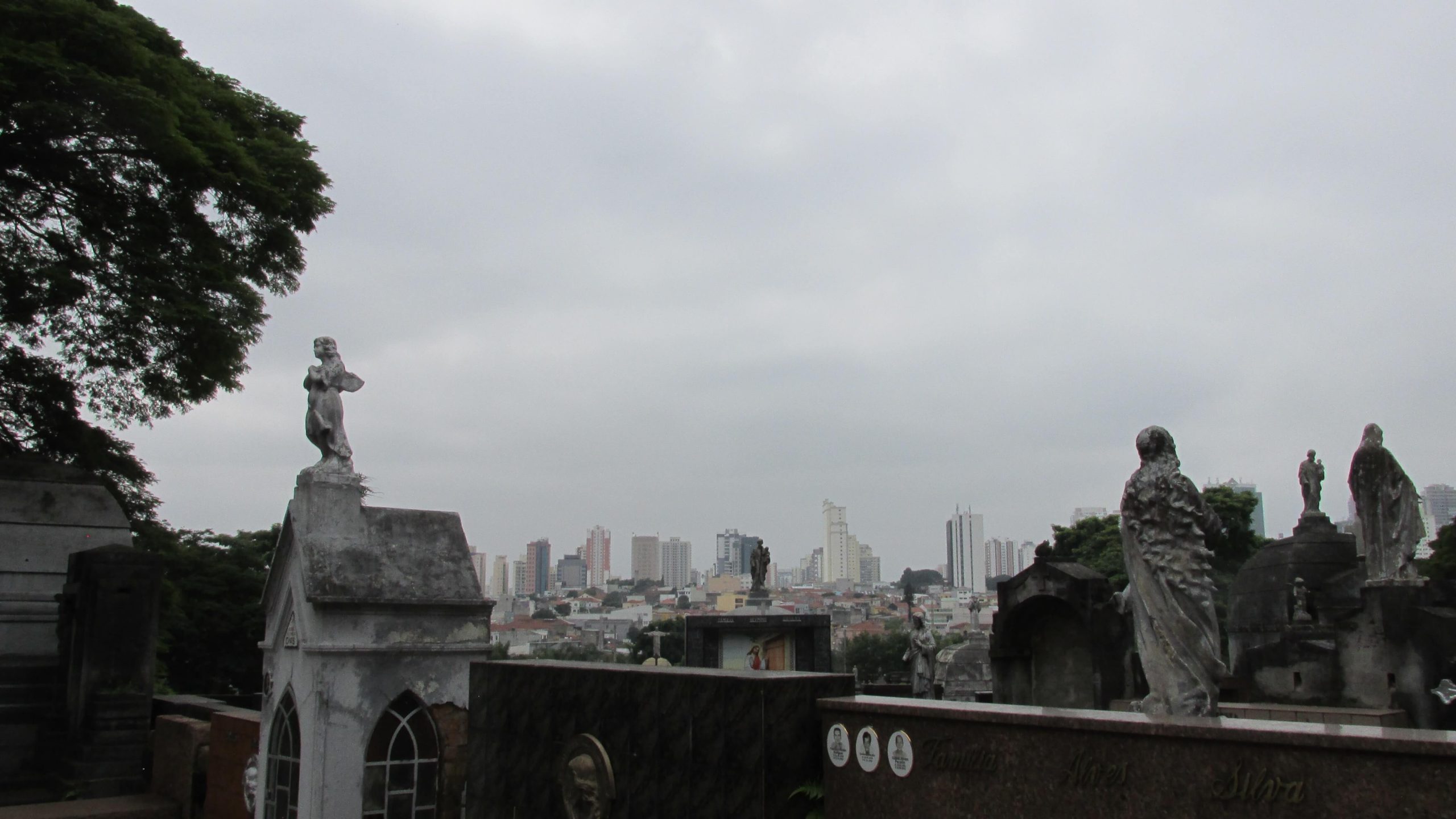 Groblje u Sao Paulu - Aspira Virtualni Muzej iseljeništva Dalmacije