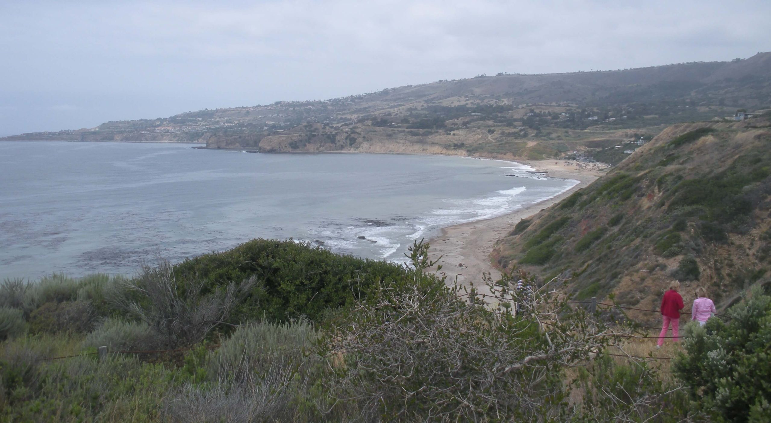 MILO BACIC - Aspira Virtualni Muzej iseljeništva Dalmacije